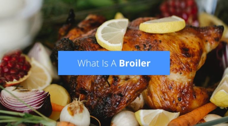 What Is A Broiler? (everything you need to know) - Check Appliance