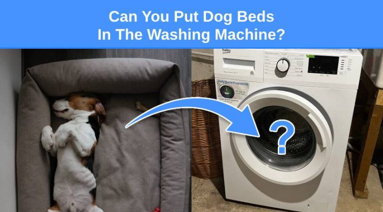 Can You Put Dog Beds In The Washing Machine? - Check Appliance