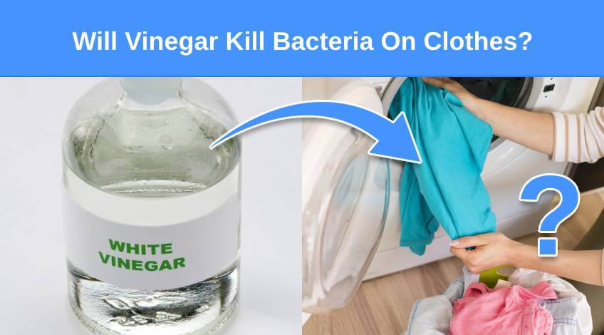 Will Vinegar Kill Bacteria On Clothes? - Check Appliance