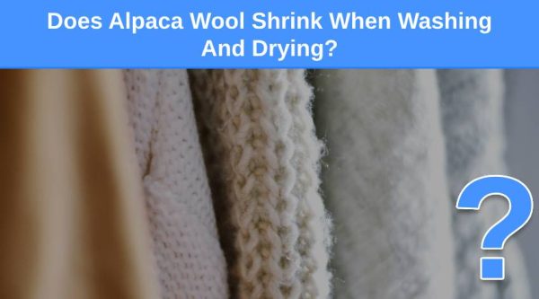 Does Alpaca Wool Shrink When Washing And Drying? - Check Appliance