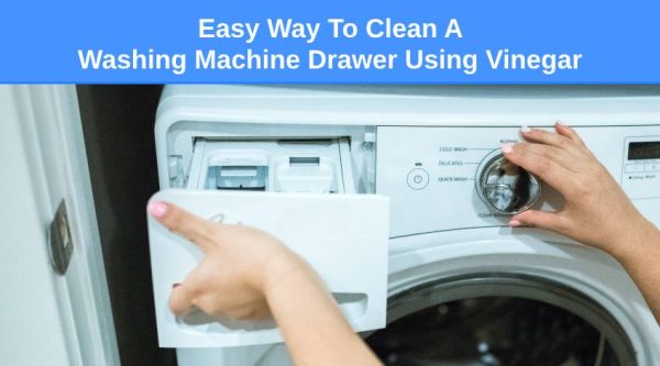 Easy Way To Clean A Washing Machine Drawer Using Vinegar - Check Appliance