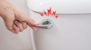 If your toilet starts to whistle, you need to do this immediately ...