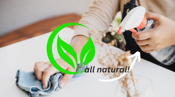 6 Easy Homemade All Natural Cleaning Sprays You’ll Love - Check Appliance