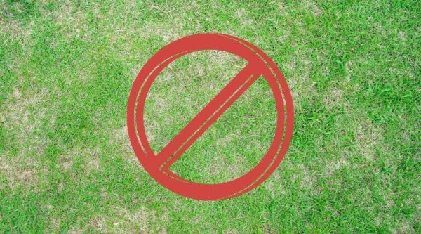 13 Lawn Care Mistakes That Could Be Ruining Your Grass - Check Appliance