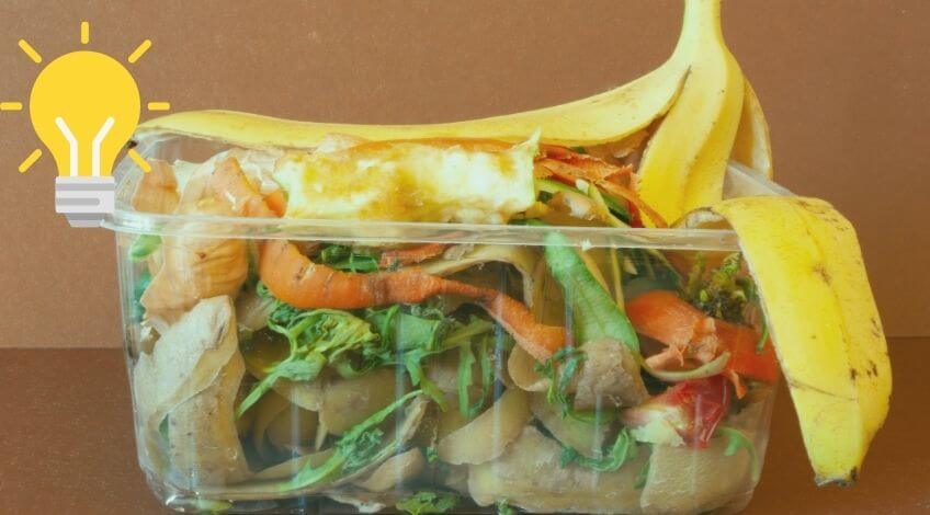 7 Surprisingly Smart Ways to Reuse Food Scraps You Usually Toss - Check ...