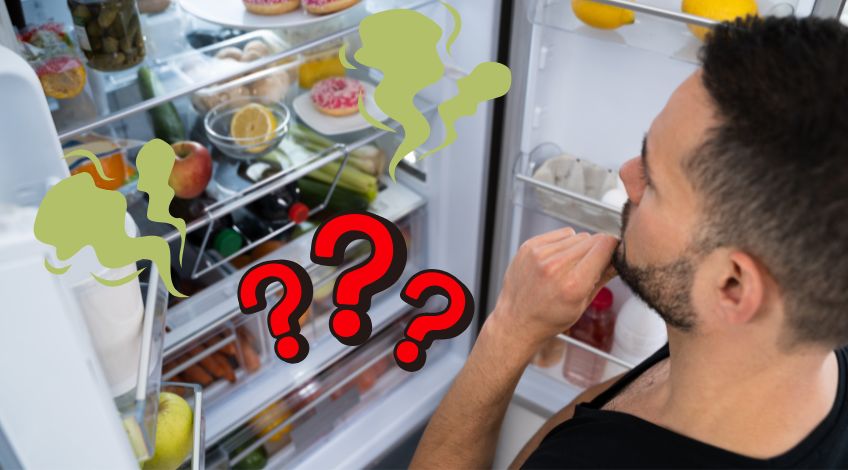 The Hidden Spot In Your Fridge That’s Making It Smell (And How To Fix ...